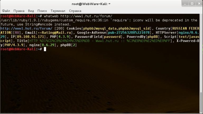 Инструкция по WhatWeb: как узнать движок сайта в Kali Linux — The Codeby