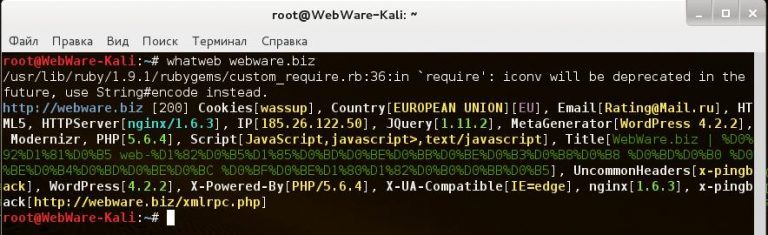 Инструкция по WhatWeb: как узнать движок сайта в Kali Linux — The Codeby