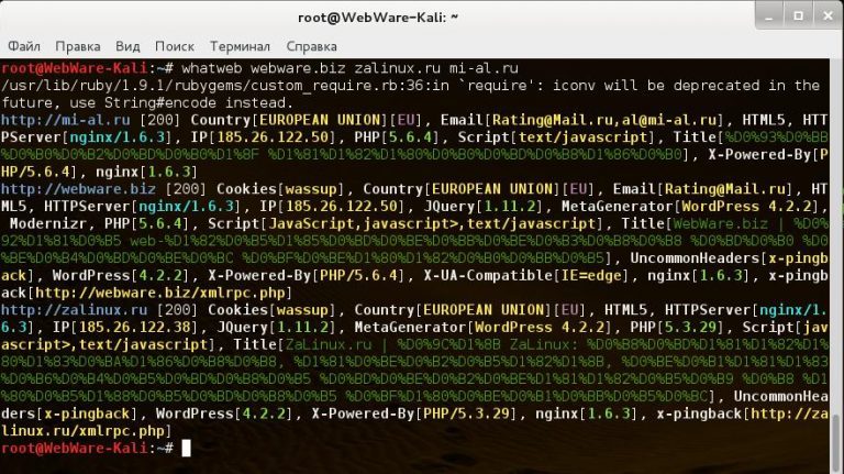 Инструкция по WhatWeb: как узнать движок сайта в Kali Linux — The Codeby