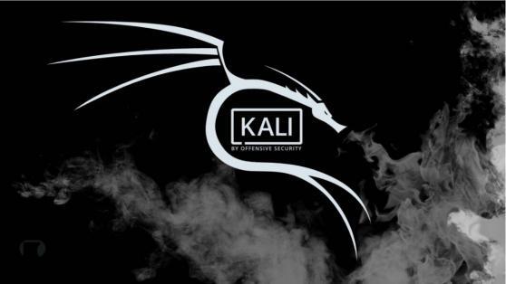 Kali Linux Revealed — предисловие — The Codeby